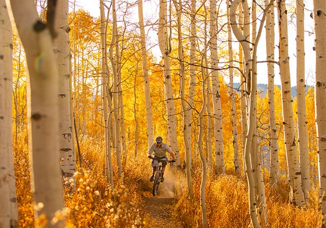 Alma Vacations, Activities & Things To Do | Colorado.com