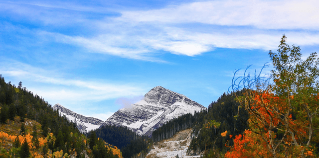 Rico Vacations, Activities & Things To Do | Colorado.com
