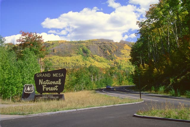 Rico Vacations, Activities & Things To Do | Colorado.com
