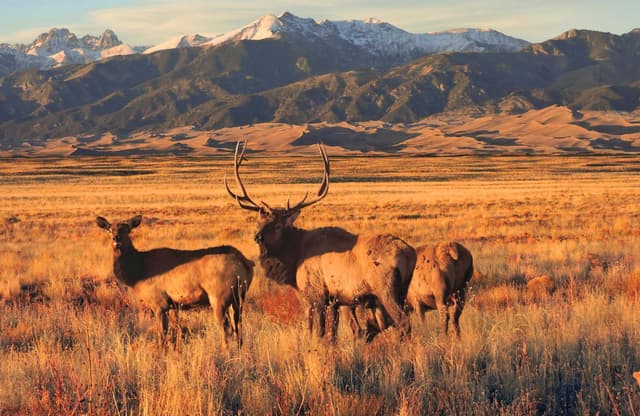 Colorado Scenic Beauty - Colorado Natural Attractions | Colorado.com ...