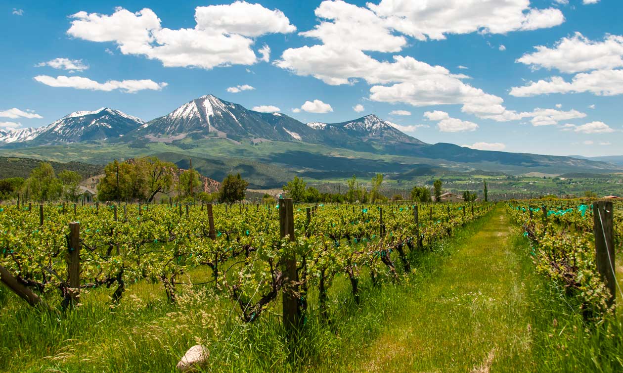 Colorado Wineries - Winery Tours in Colorado | Colorado.com