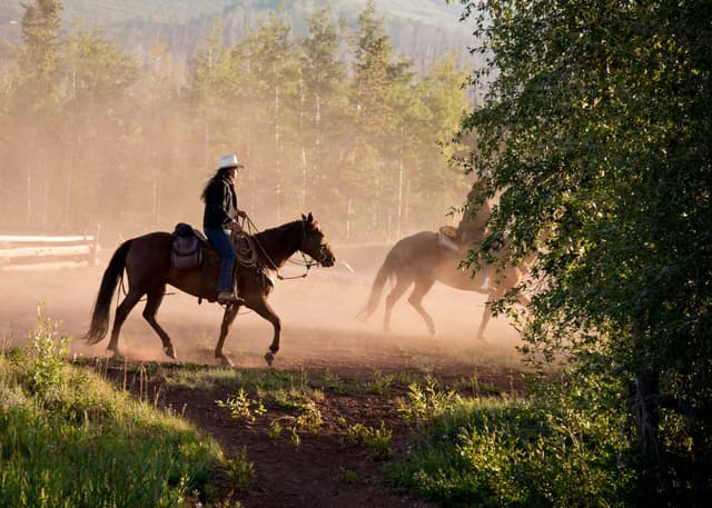 Colorado Farm & Ranch Activities | Colorado.com