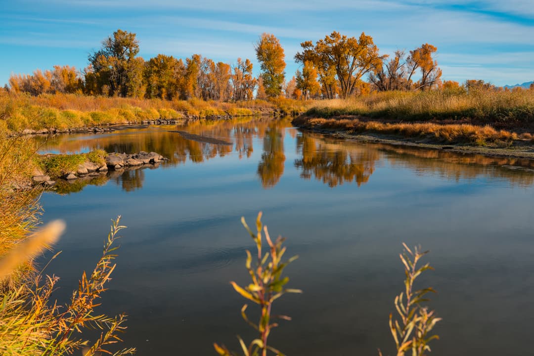 Alamosa Vacations, Activities & Things To Do | Colorado.com