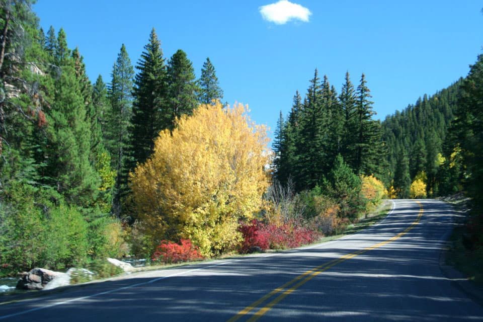 Almont, Colorado Vacations, Activities & Things To Do | Colorado.com