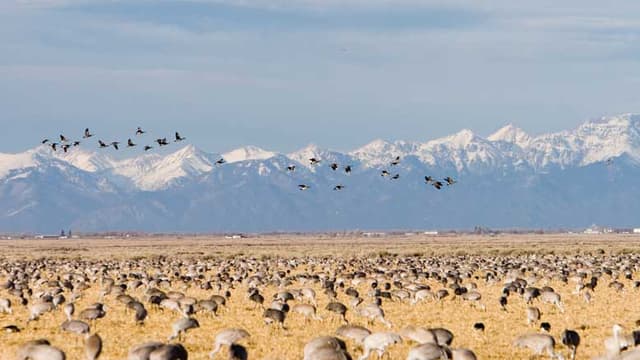 The Real South Park Colorado | Colorado.com