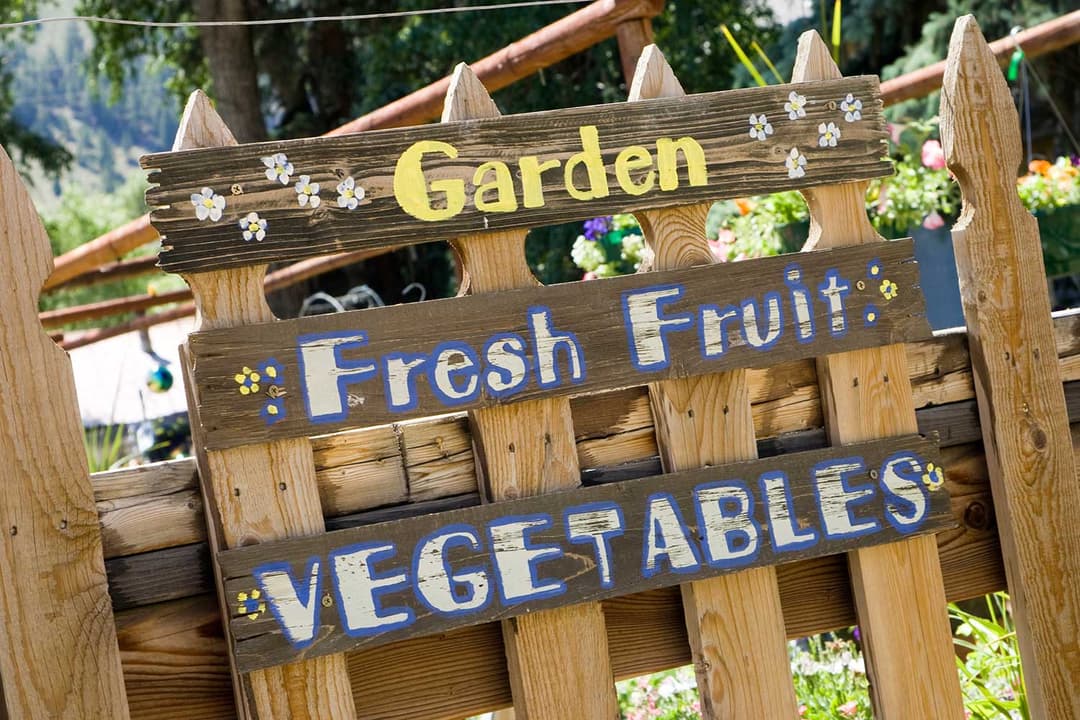 Tips for Visiting Colorado's Farms & Ranches | Colorado.com