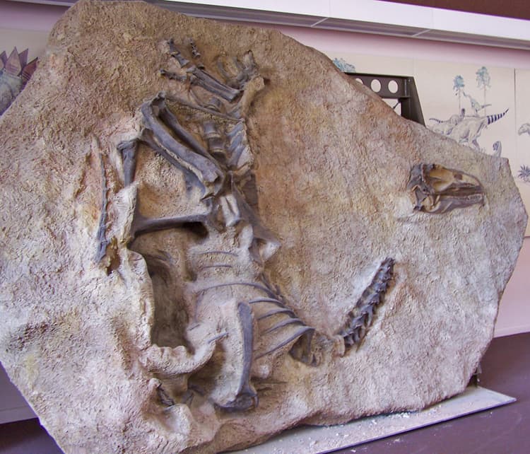 Dinosaur Vacations, Activities & Things To Do | Colorado.com