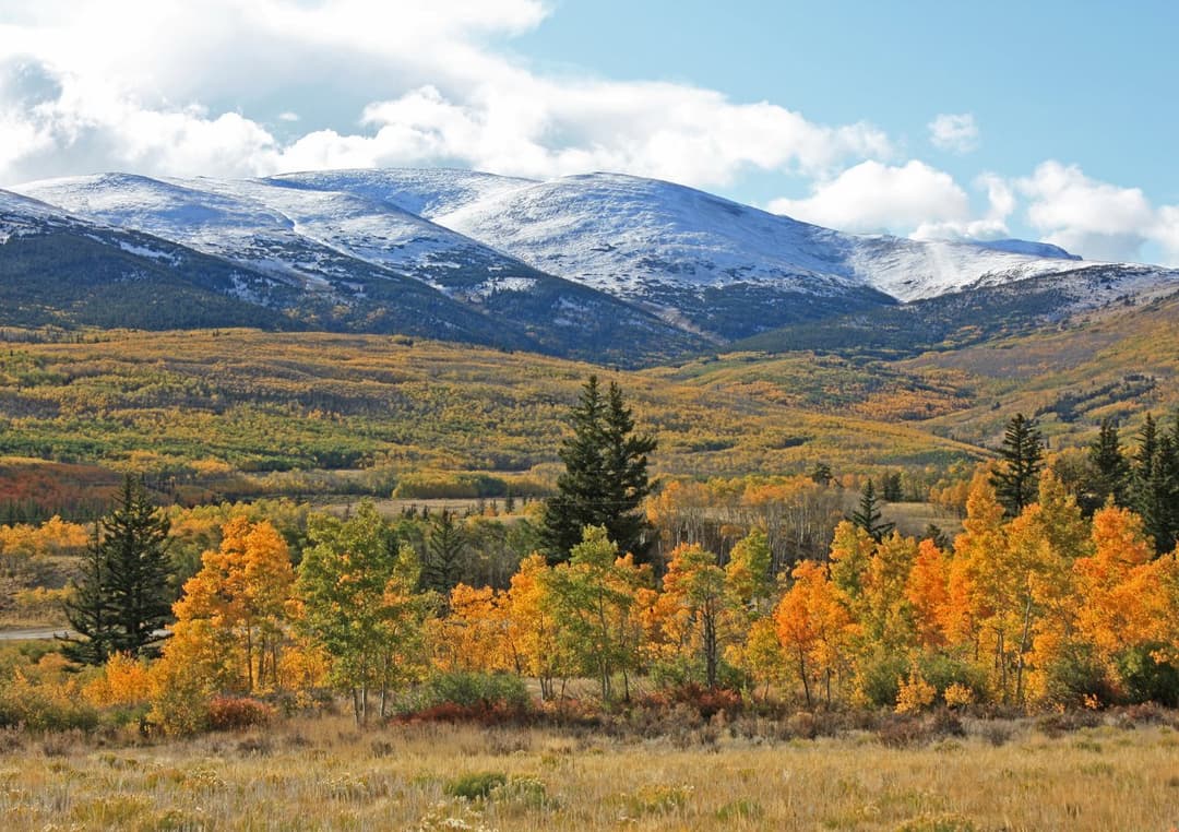 Alma Vacations, Activities & Things To Do | Colorado.com