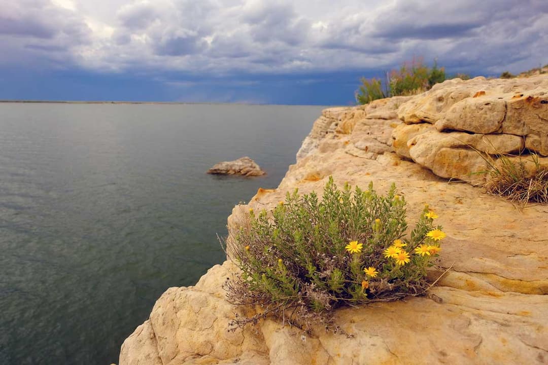 Colorado State Park Profile: John Martin Reservoir State Park ...