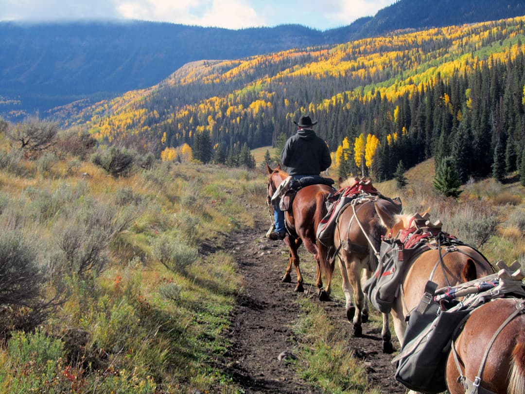 Horseback Riding in Colorado | Colorado.com