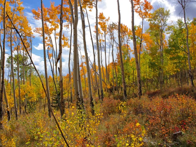 Edwards Vacations, Activities & Things To Do | Colorado.com