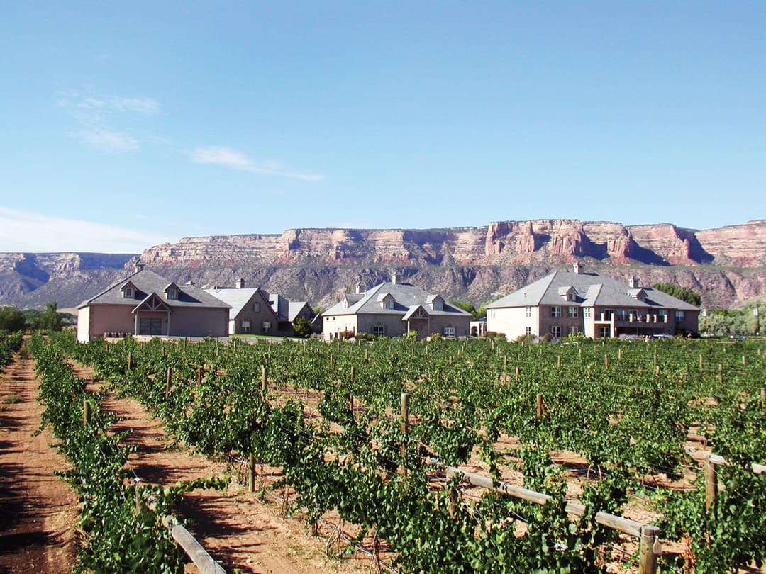 Explore Colorado Wineries | Colorado.com