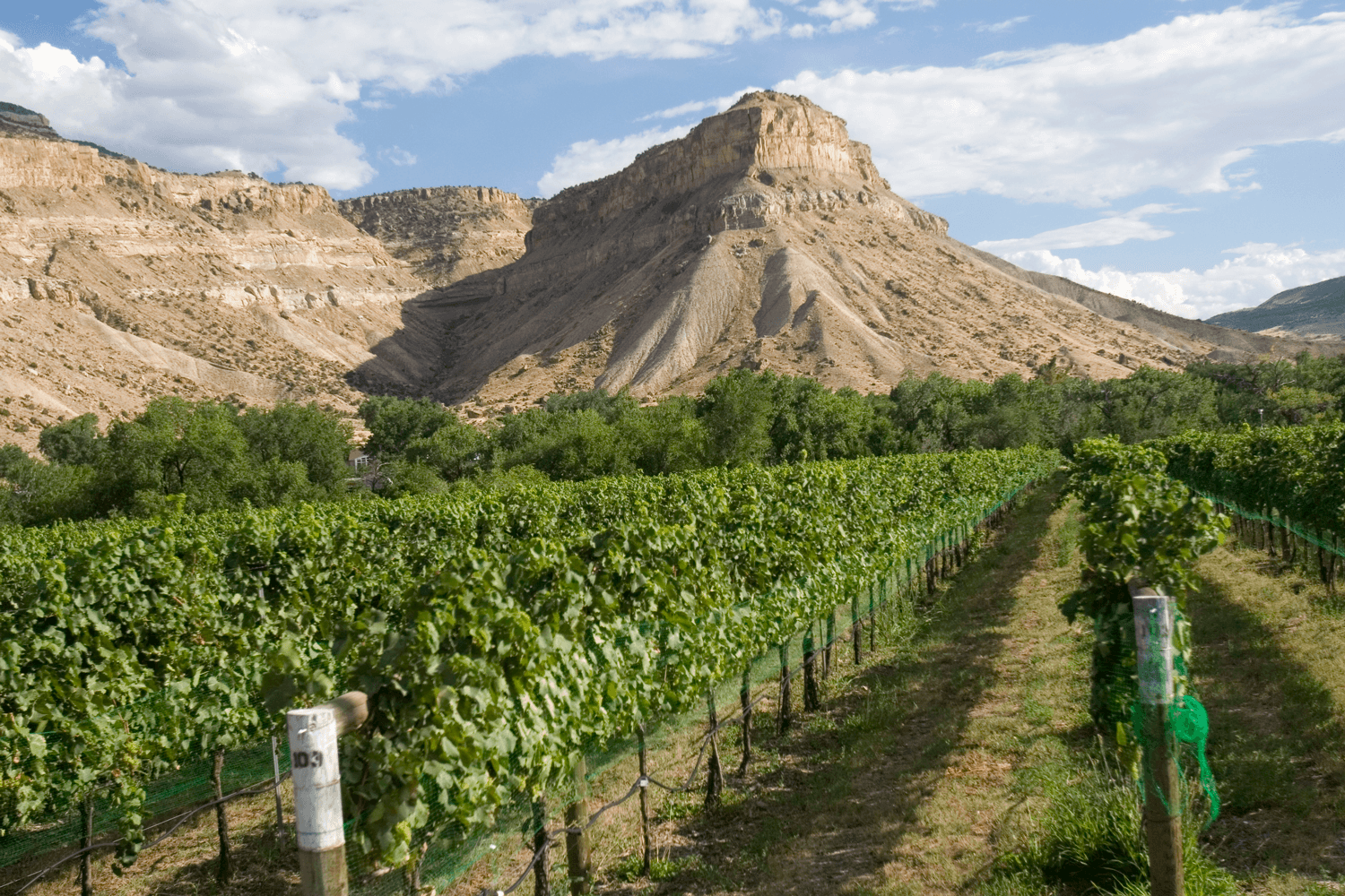 Grand Mesa | Colorado.com