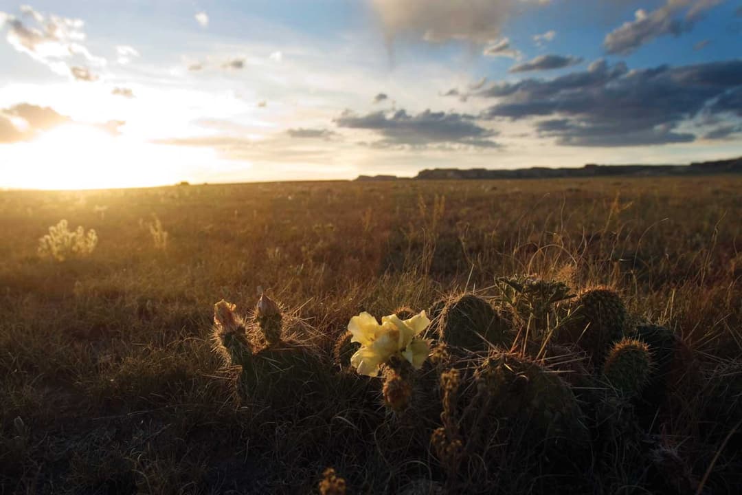 Highlights of the High Plains | Colorado.com