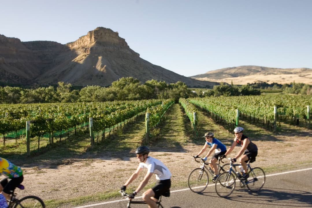 Tour Biking in Colorado - Colorado Road Cycling | Colorado.com