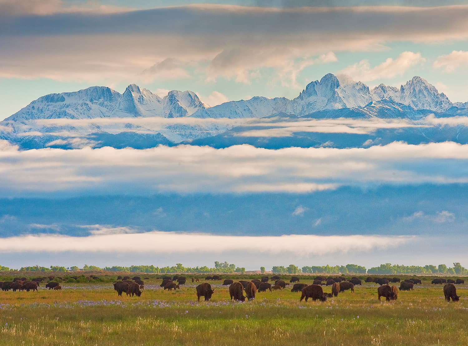 Colorado Farm Stays | Colorado.com