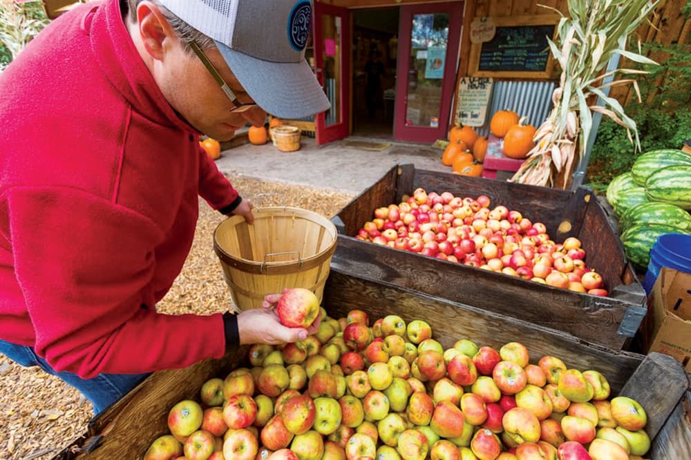 Fresh Connections: 12 Ways to Enjoy Colorado Farm Living | Colorado.com