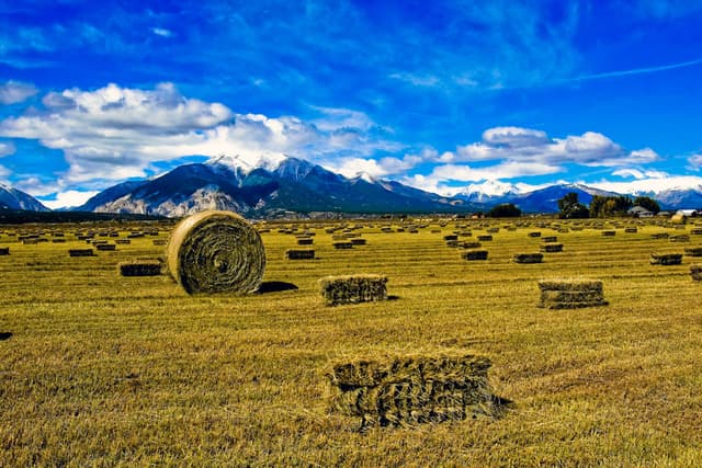 Crestone Vacations, Activities & Things To Do | Colorado.com
