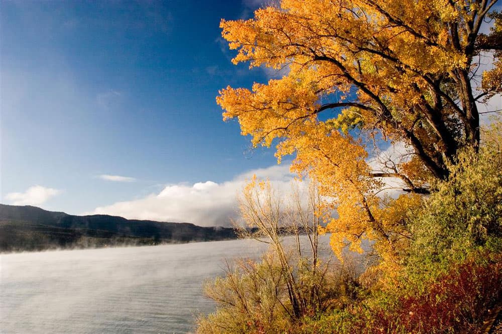 Ignacio Vacations, Activities & Things To Do | Colorado.com