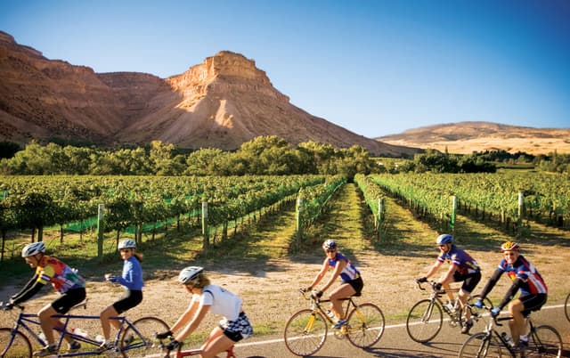 Carboy Winery | Colorado.com