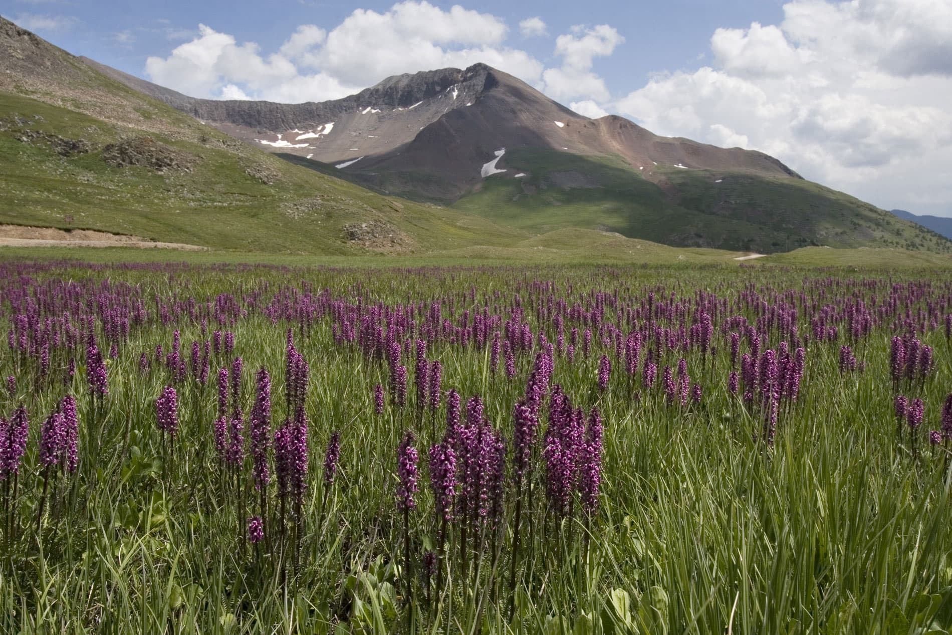 Alpine Loop | Colorado.com