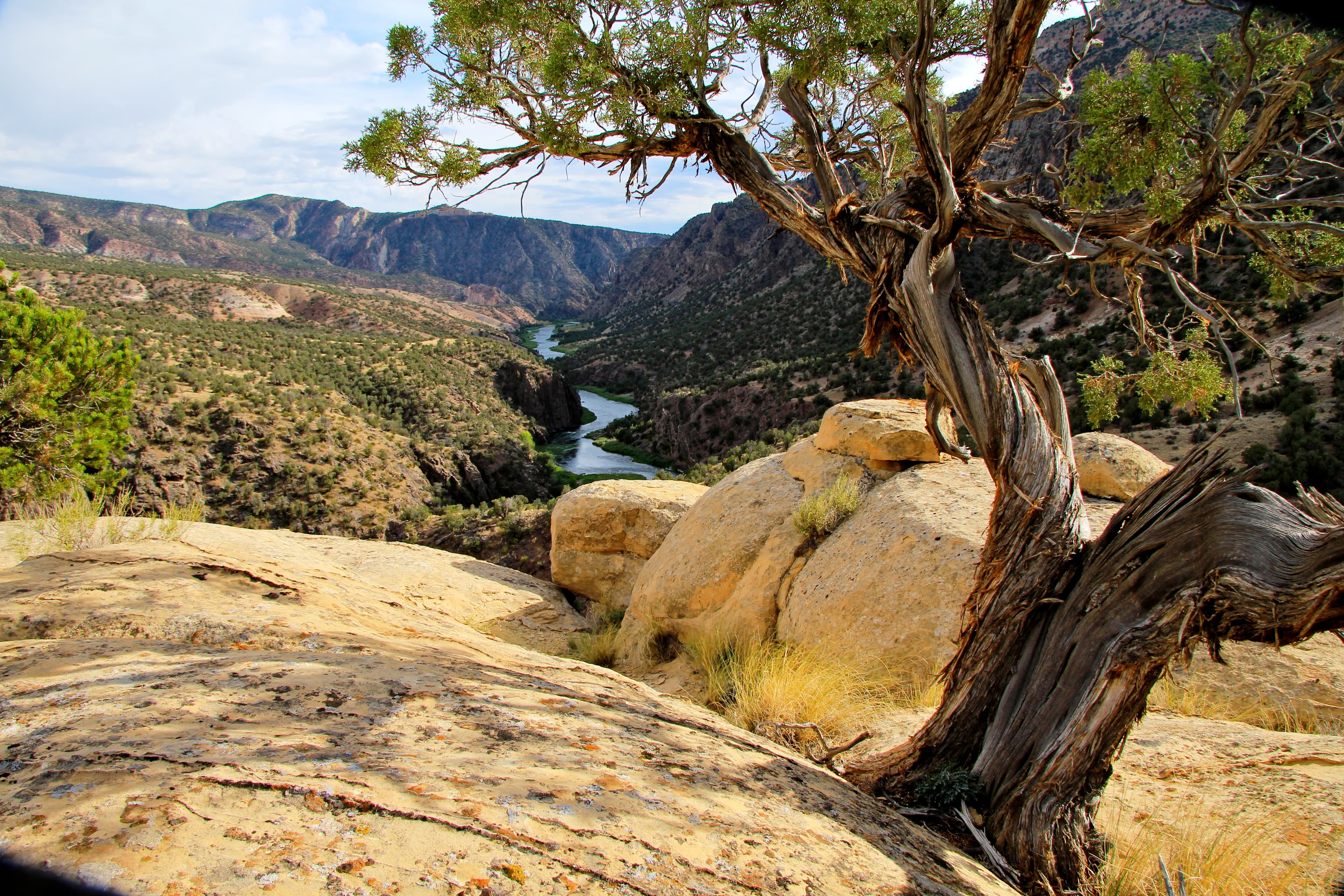 Gunnison Gorge National Conservation Area, Gunnison Gorge Wilderness ...