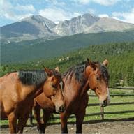 Wind River Ranch | Colorado.com