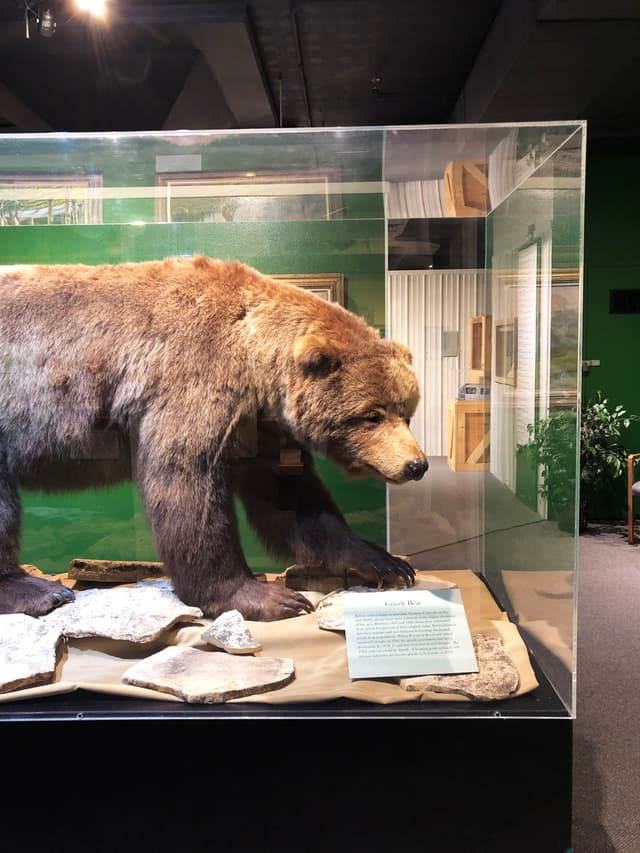 Colorado Museums – Best Museums in Colorado | Colorado.com