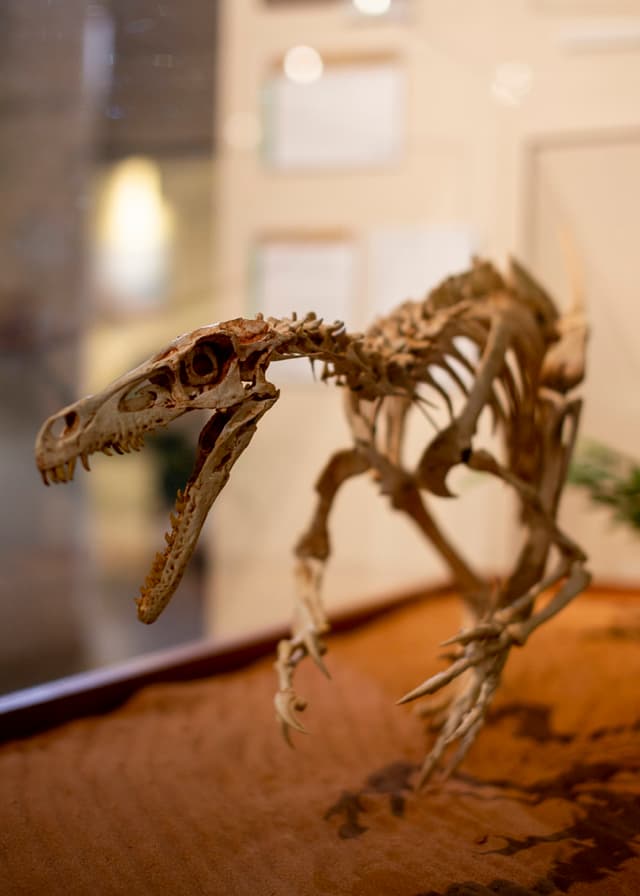 Colorado Museums – Best Museums in Colorado | Colorado.com