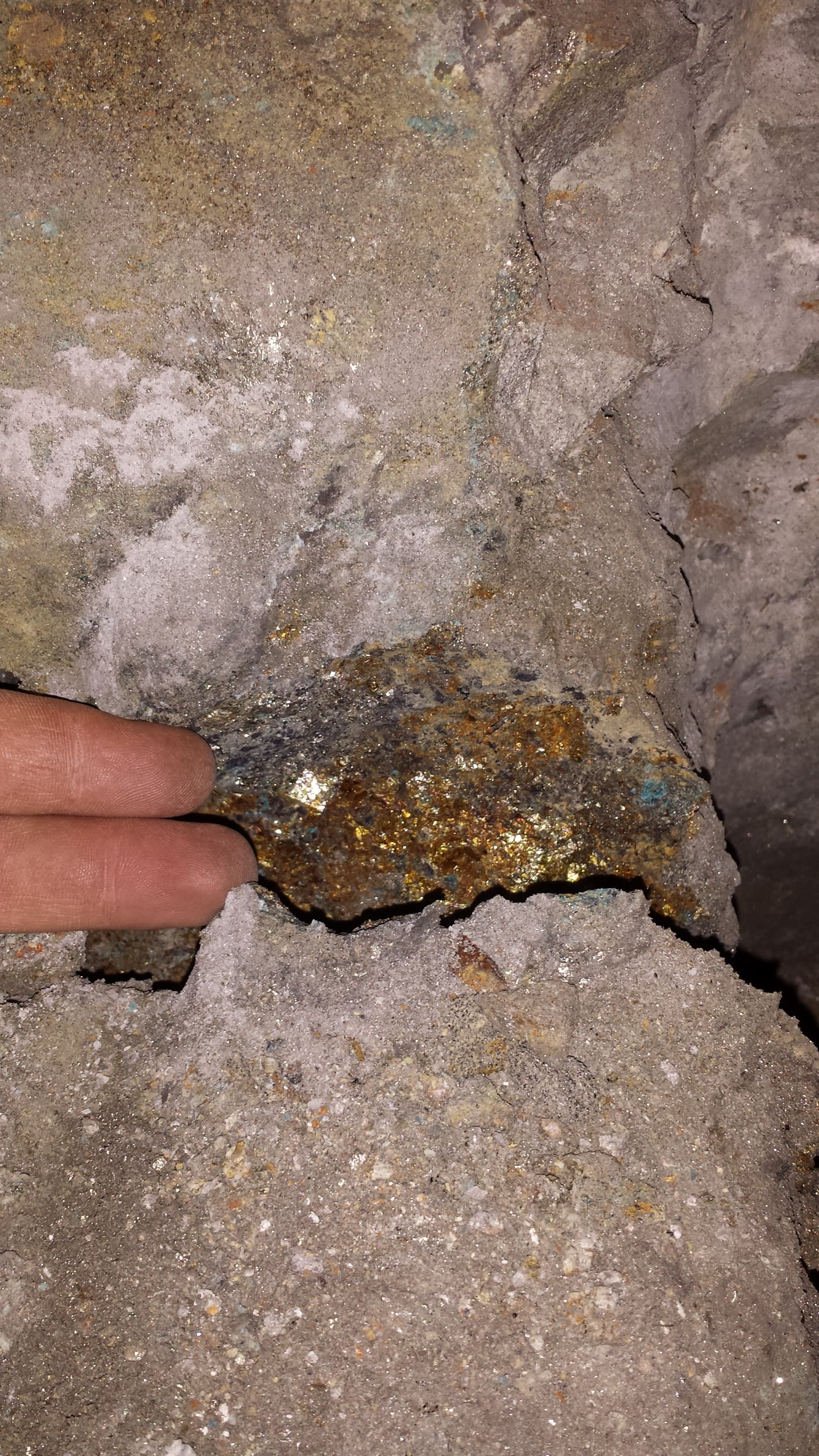 Hidee Gold Mine Tours and Panning | Colorado.com